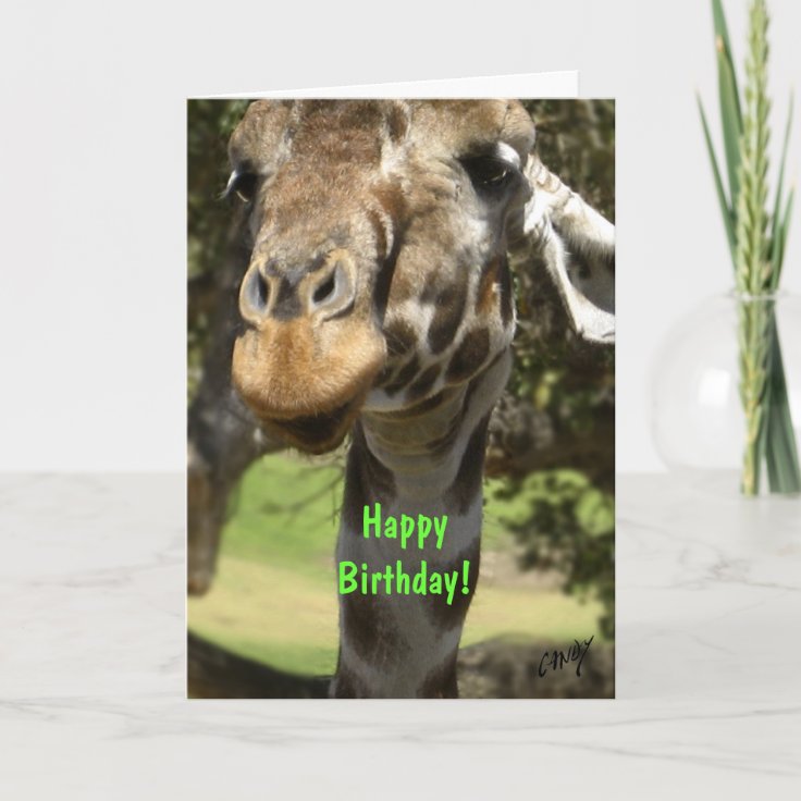 Giraffe, Happy Birthday! Card | Zazzle