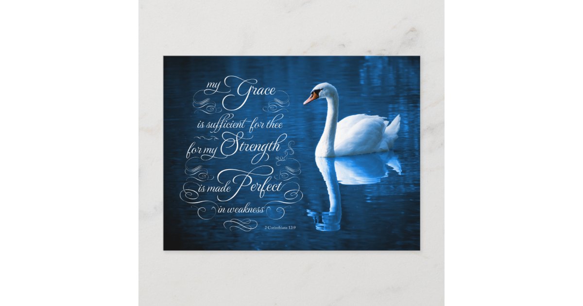 Grace Bible Verse Mute Swan Postcards | Zazzle