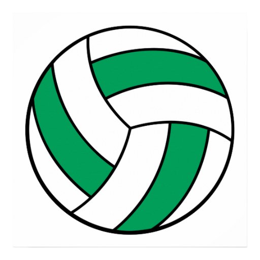 green and white volleyball | Zazzle