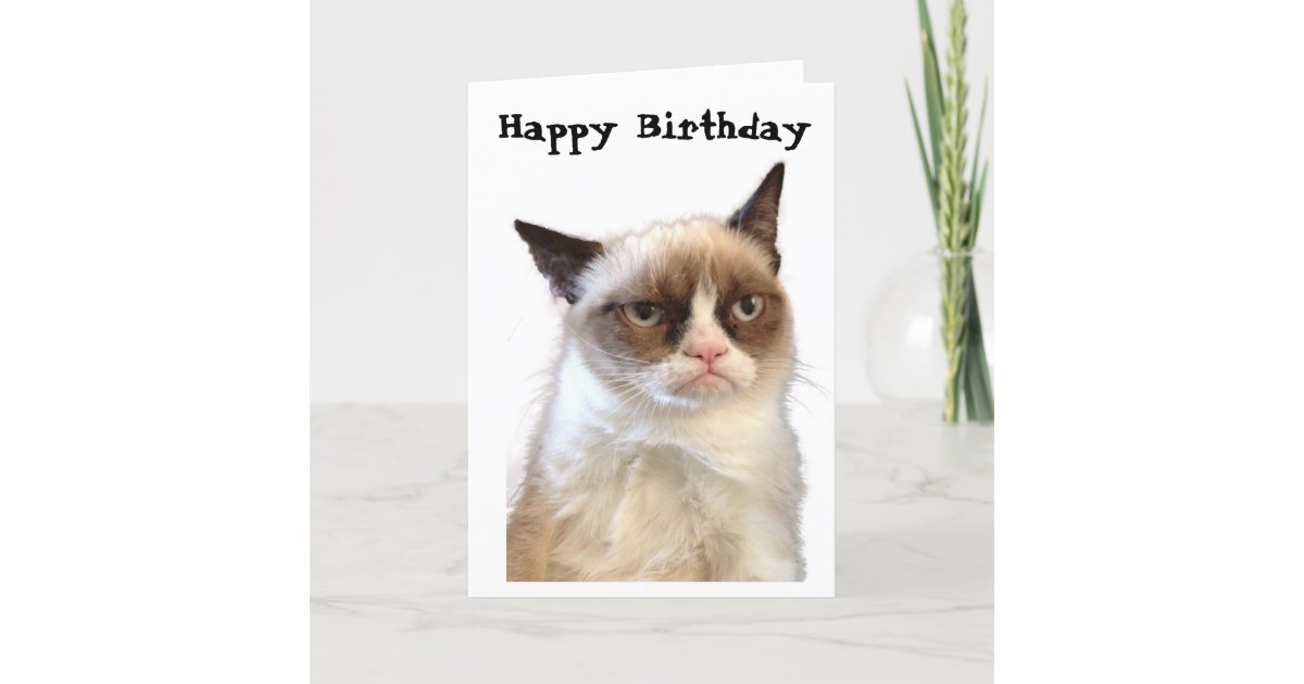 Grumpy Cat Happy Birthday Card | Zazzle.ca