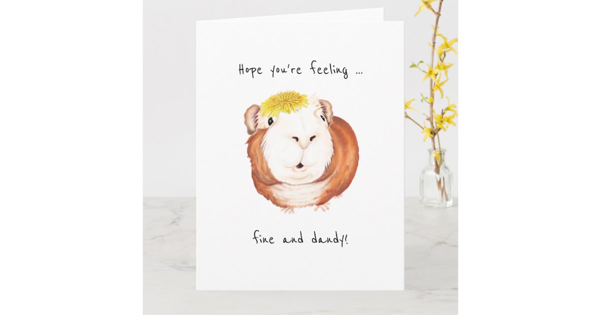 Guinea Pig 'Hope you're feeling ...'Greetings Card | Zazzle