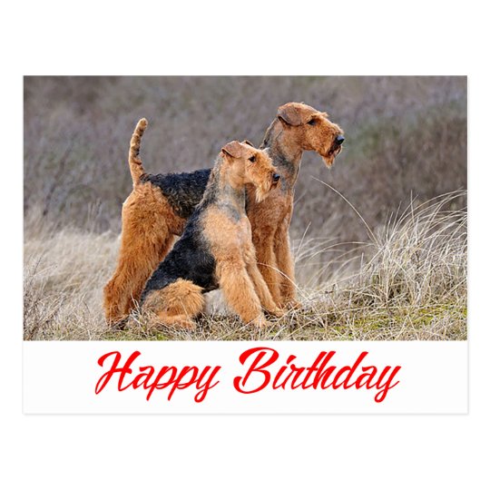 Happy Birthday Airedale Terrier Puppy Dog Red Postcard | Zazzle.ca