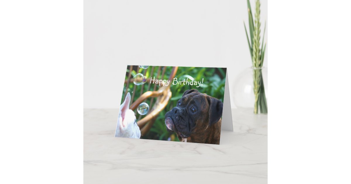 Happy Birthday Boxer dog greeting card | Zazzle