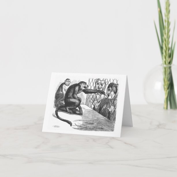 Weird Birthday Cards | Zazzle CA