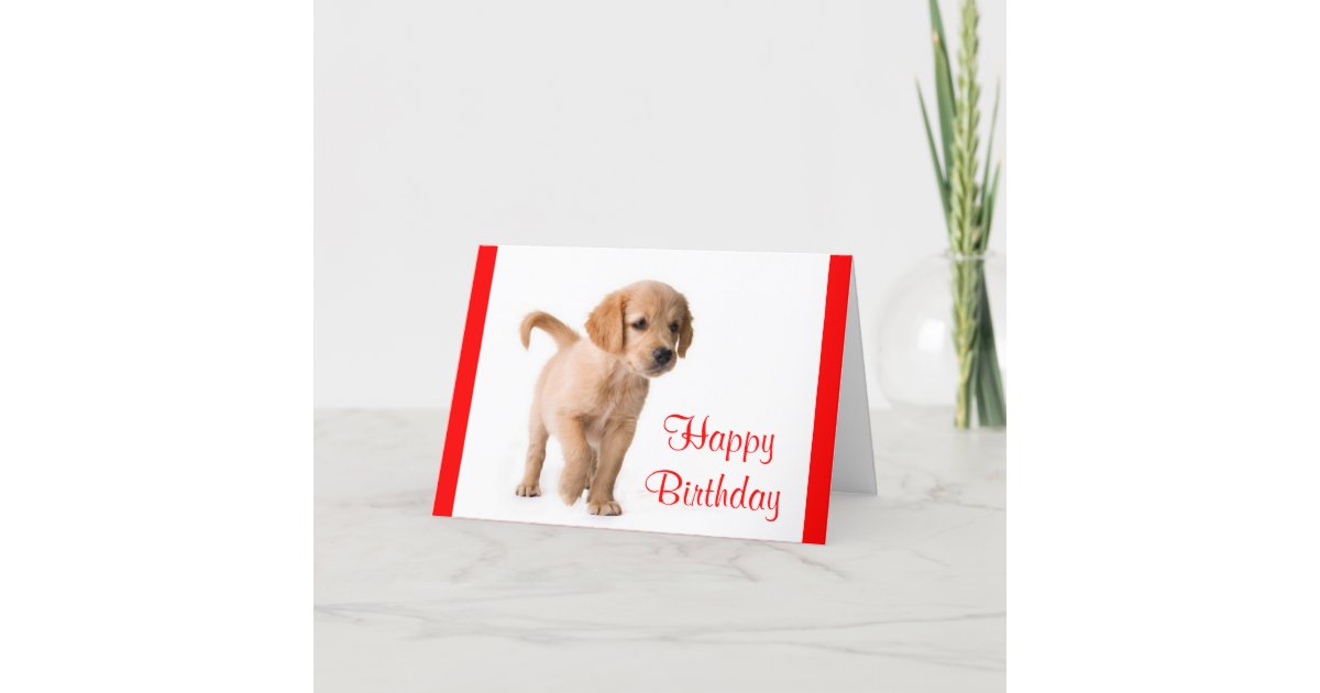 Happy Birthday Golden Retriever Puppy Dog Card | Zazzle