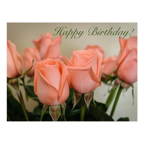 Happy Birthday Rose Postcards | Zazzle CA
