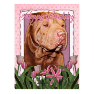 Happy Birthday Shar Pei Postcards, Happy Birthday Shar Pei Post Card ...
