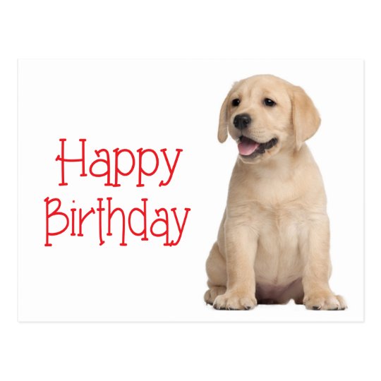 Happy Birthday Yellow Labrador Retriever Postcard | Zazzle.ca