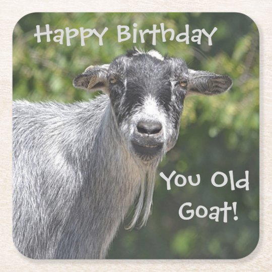 Happy Birthday You Old Goat Party Coasters | Zazzle.ca