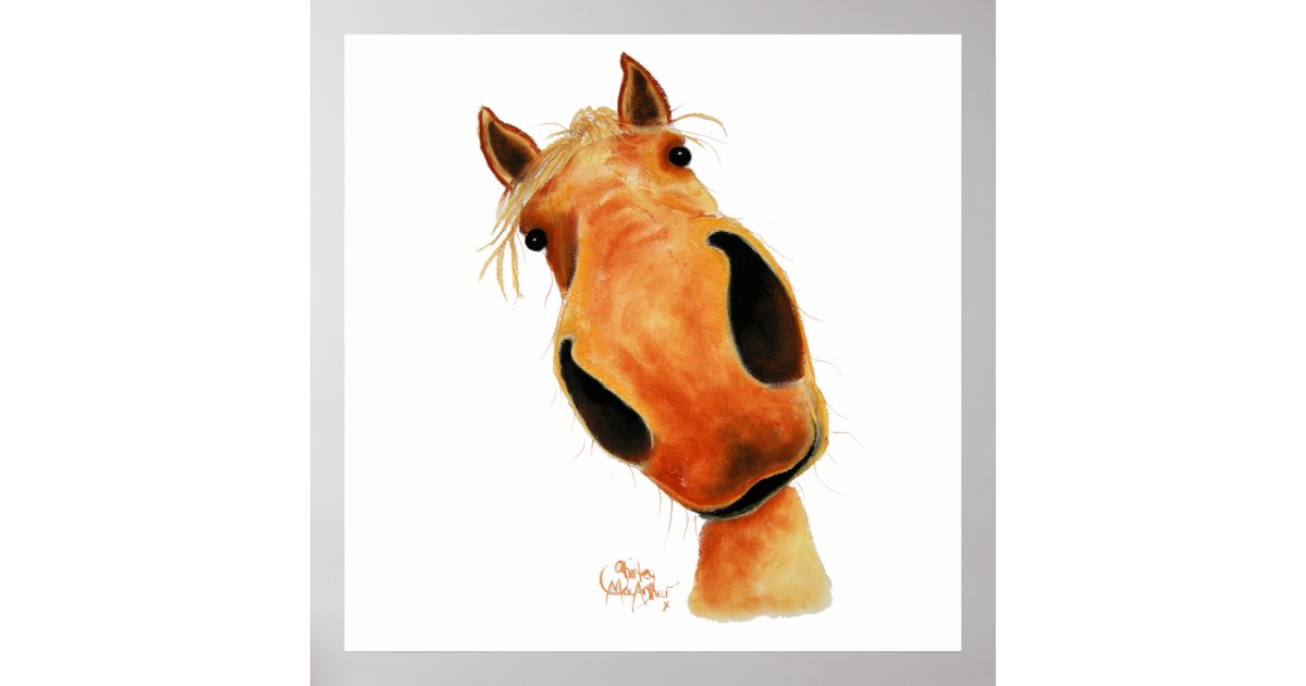 Happy Horse ' NuGGeT ' by Shirley MacArthur Poster | Zazzle