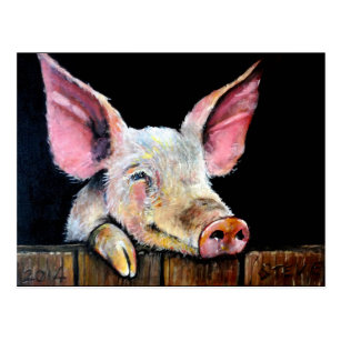 Pig Gifts on Zazzle CA