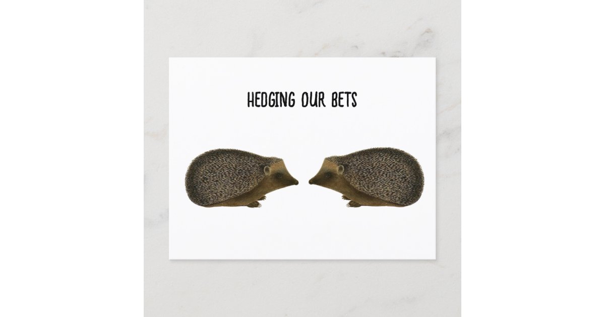 Hedgehogs getting married - Funny Hedgehog wedding Postcard | Zazzle