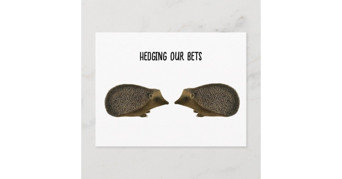 Hedgehogs getting married - Funny Hedgehog wedding Postcard | Zazzle