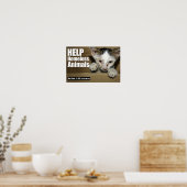 Help Homeless Animal Poster | Zazzle