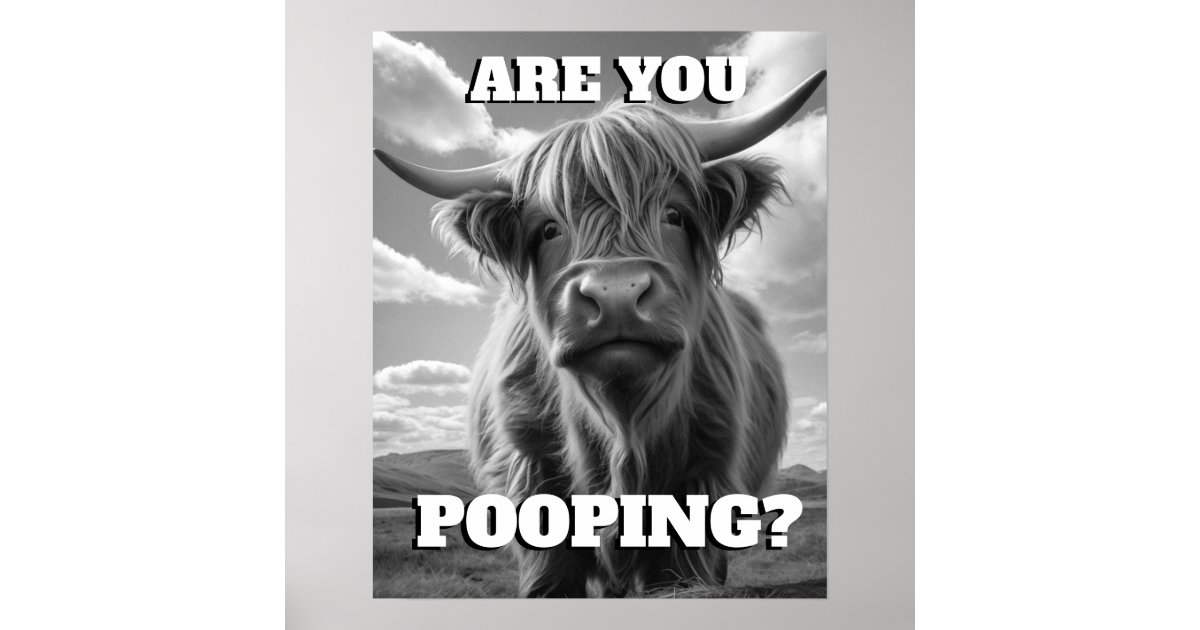 Highland Cow Are you Pooping Toilet Potty Humour Poster | Zazzle