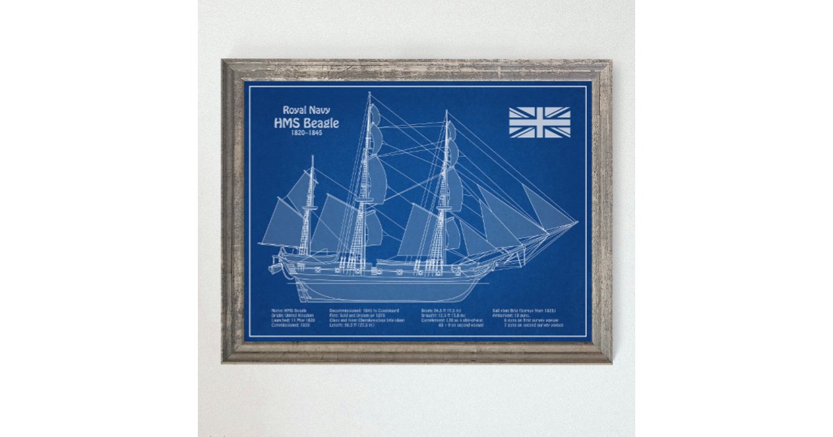 HMS Beagle Tall Ship - Ship Blueprint ABD Poster | Zazzle