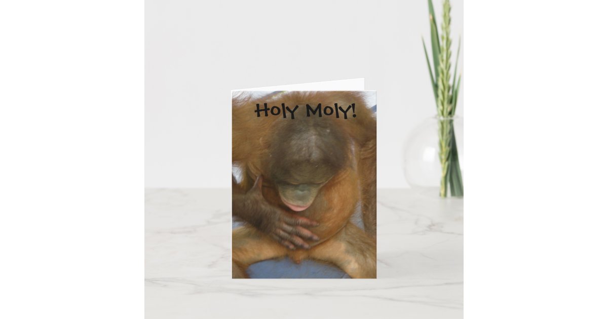 Holy Moly Funny Vasectomy Card | Zazzle.ca