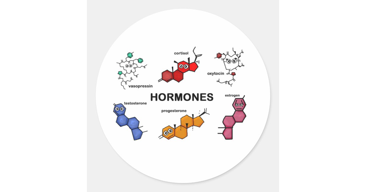 Hormones Classic Round Sticker | Zazzle