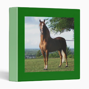 Horse Binders | Zazzle.ca