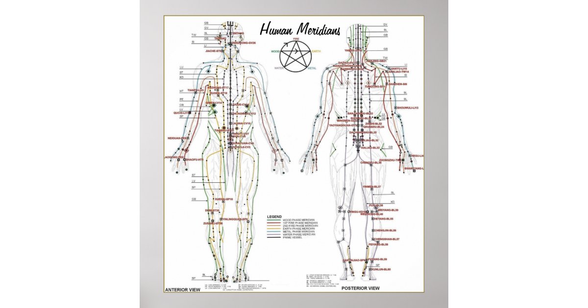 Human Meridians & Pressure Point Chart Poster | Zazzle