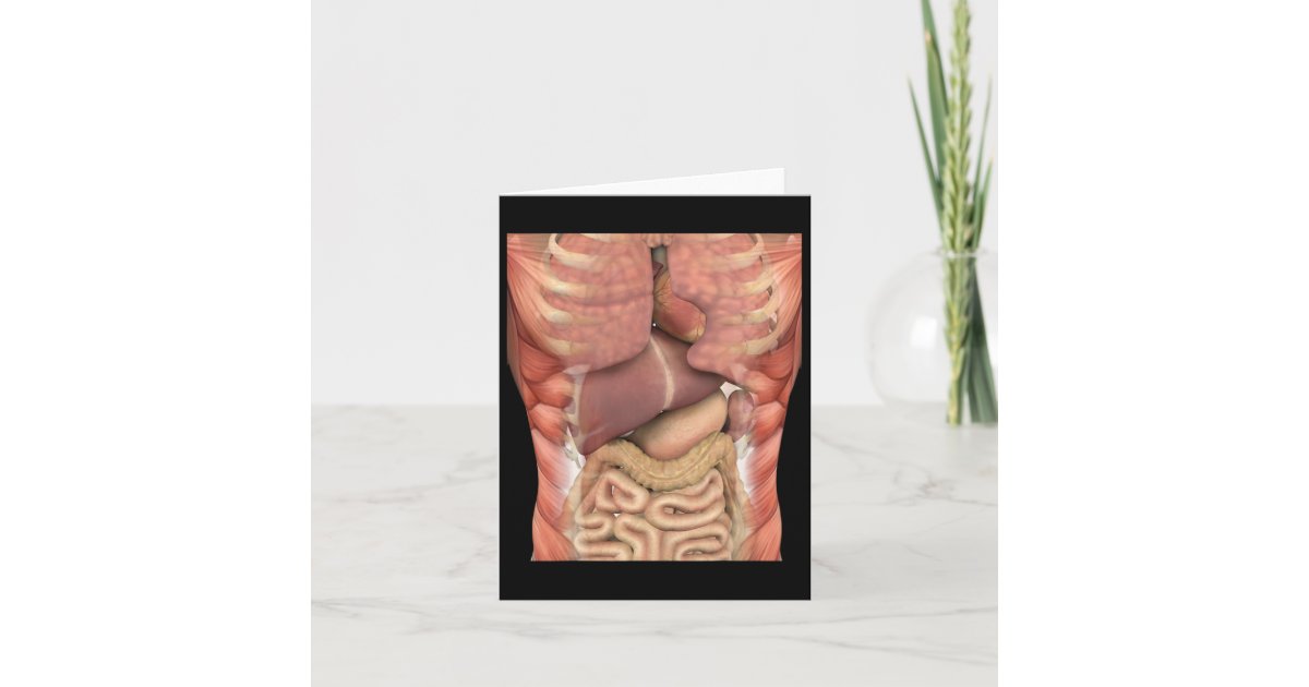 Human Muscles Organs Scary Anatomy Teacher Hallowe Card | Zazzle