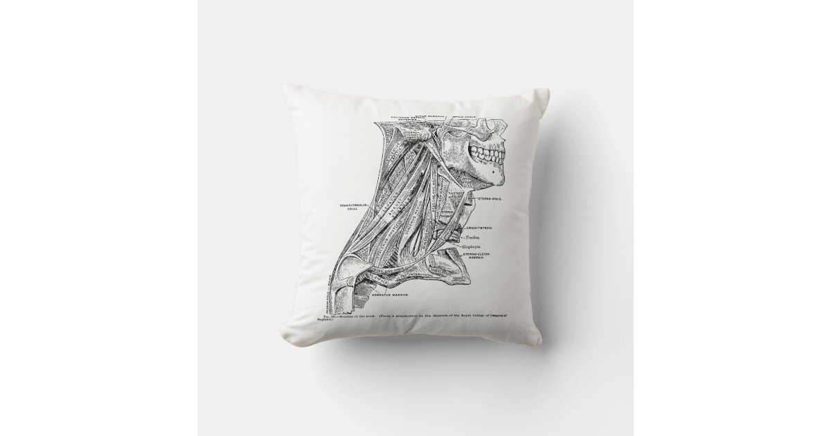 Human Vintage Anatomy Muscles of the Neck Throw Pillow | Zazzle