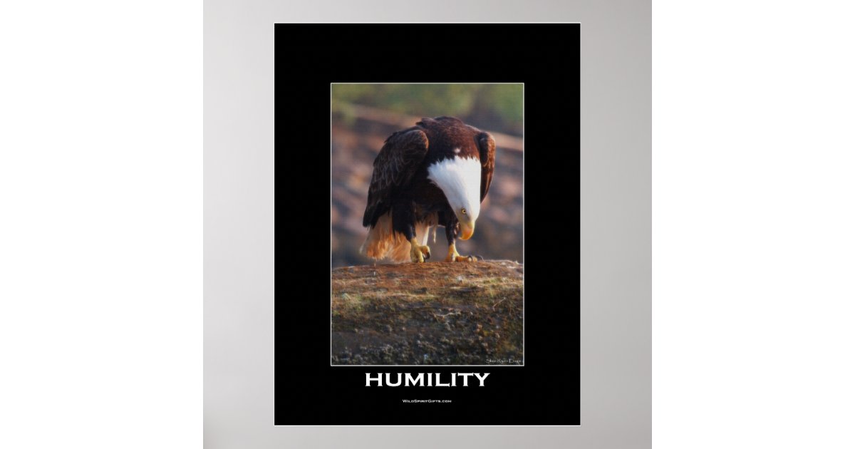 HUMILITY Bald Eagle Motivational Poster | Zazzle