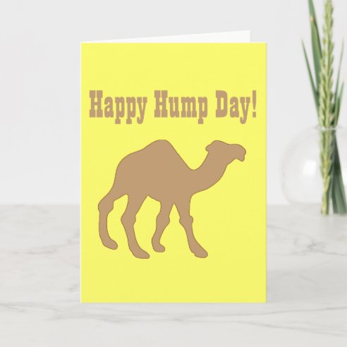 Hump Day Cards, Greeting Cards & More | Zazzle CA