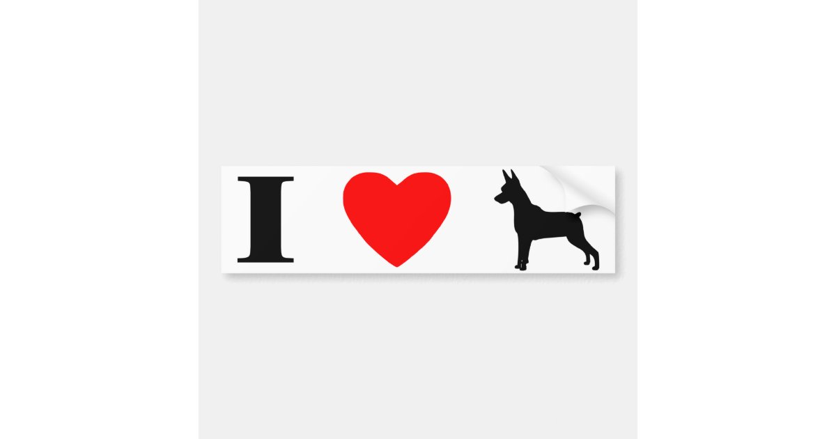 I Love Min Pins Bumper Sticker | Zazzle