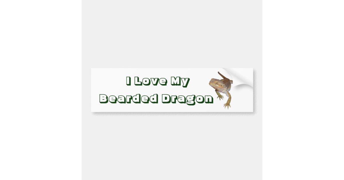 I Love My Bearded Dragon Bumper Sticker | Zazzle