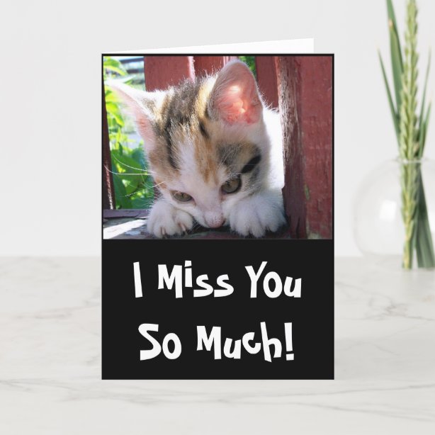 Cute Cat Miss You Cards, Greeting Cards & More | Zazzle CA