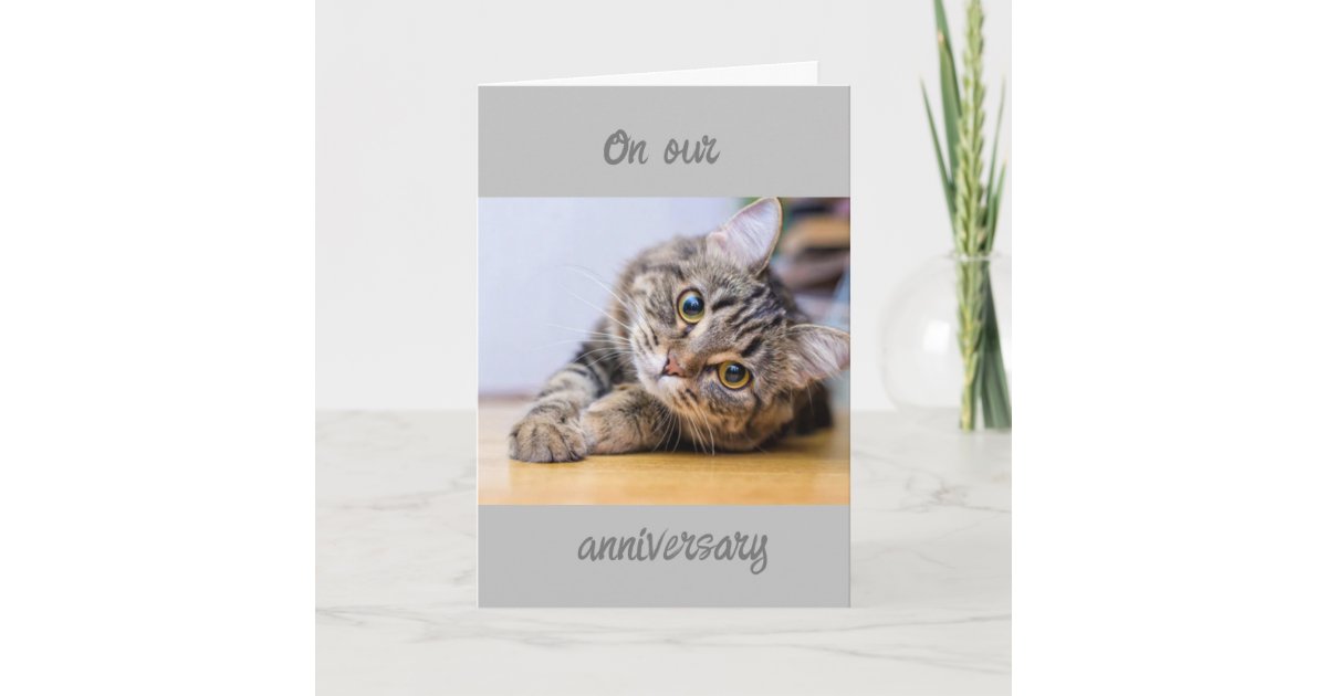 I ONLY HAVE EYS FOR "YOU" ALWAYS ANNIVERSARY CARD | Zazzle