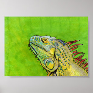 5x7 Posters, Prints & Poster Printing | Zazzle CA