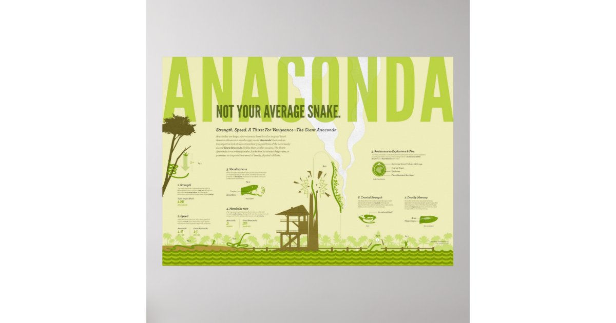 Infographic: Anaconda Poster | Zazzle