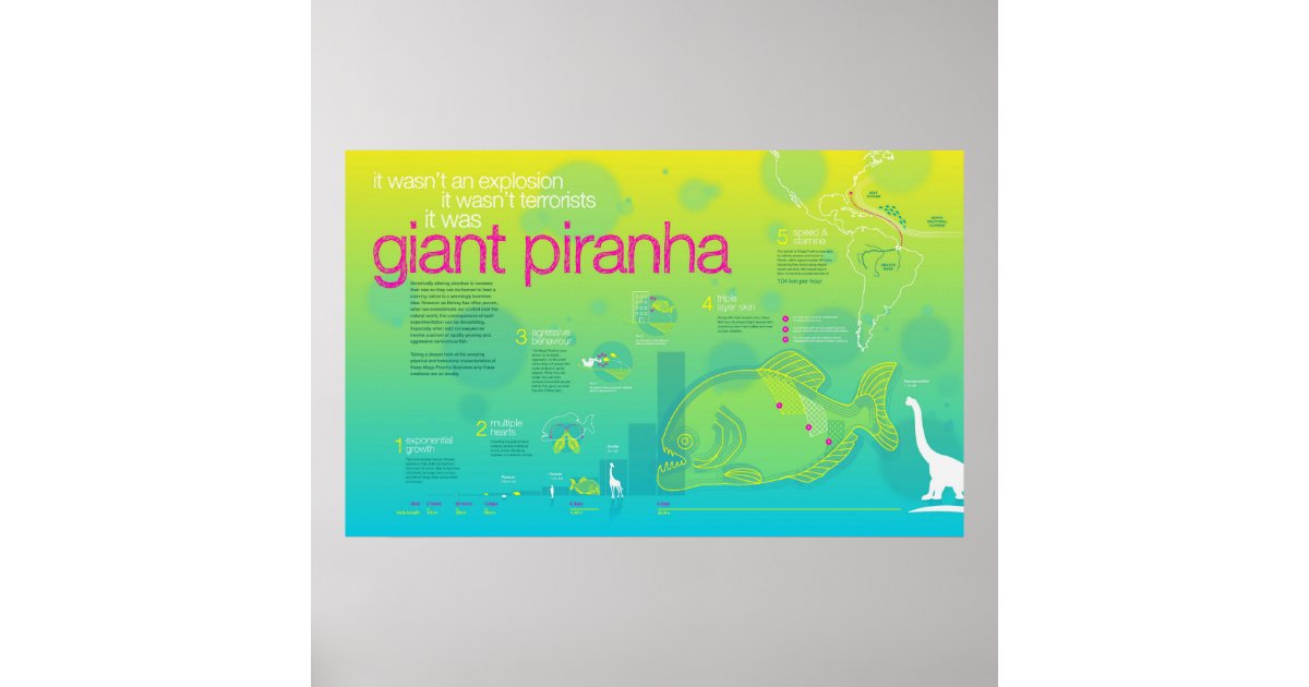 Infographic: Giant Piranha Poster | Zazzle