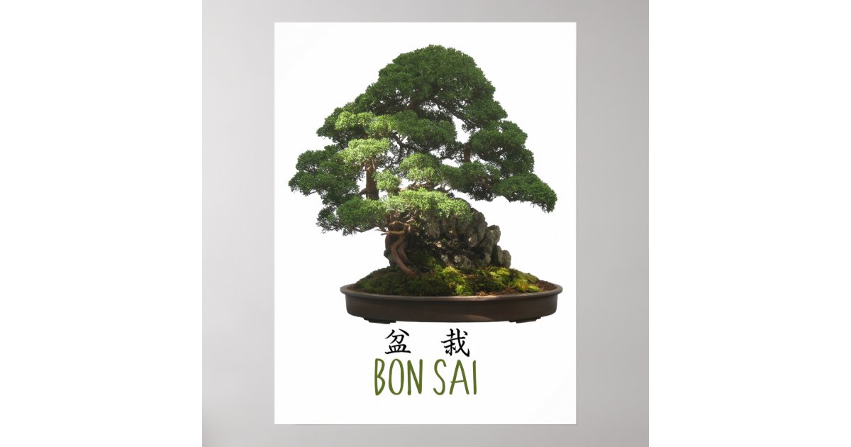 Japanese Bonsai Tree and Symbol Poster | Zazzle