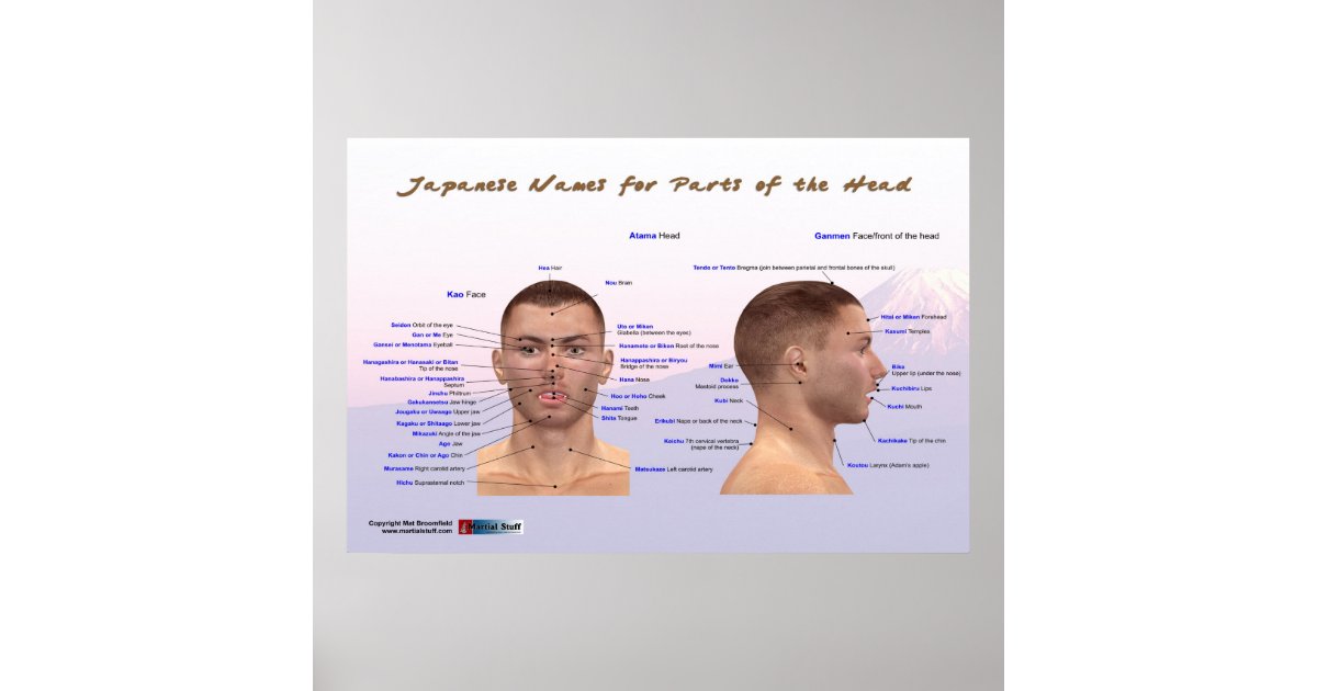 Japanese Names for Parts of the Head Poster | Zazzle