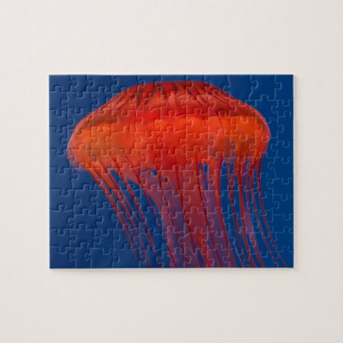 Jellyfish Jigsaw Puzzles | Zazzle.ca