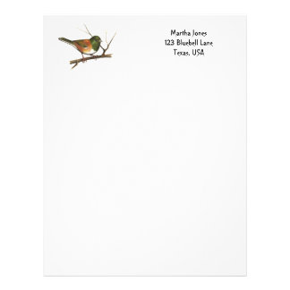 Bird Letterhead, Custom Bird Letterhead Templates