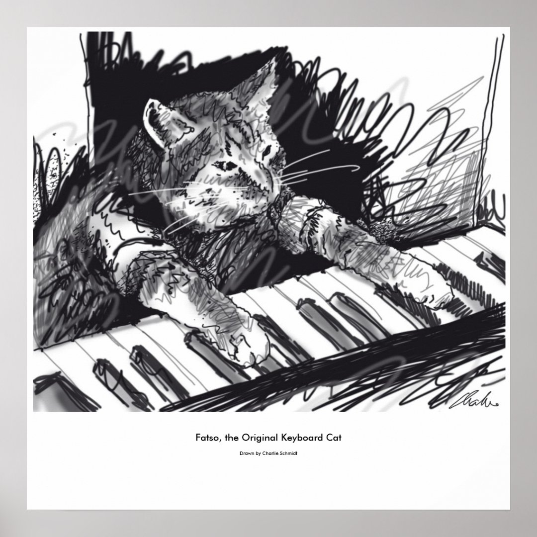 keyboard Cat Drawing Poster | Zazzle