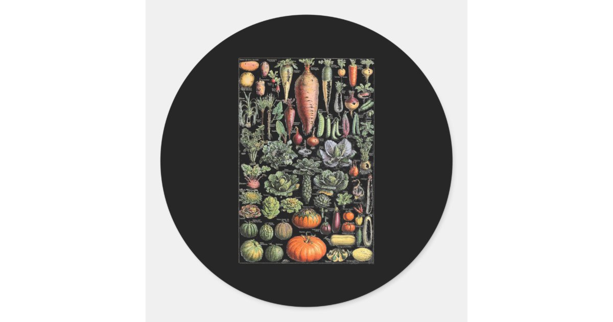 kitchen vegetable identification reference chart classic round sticker ...