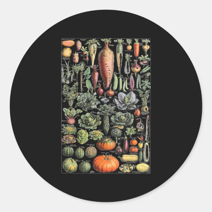 kitchen vegetable identification reference chart classic round sticker ...