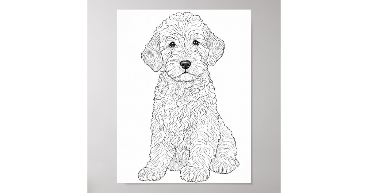 Labradoodle Adult Colouring Poster | Zazzle