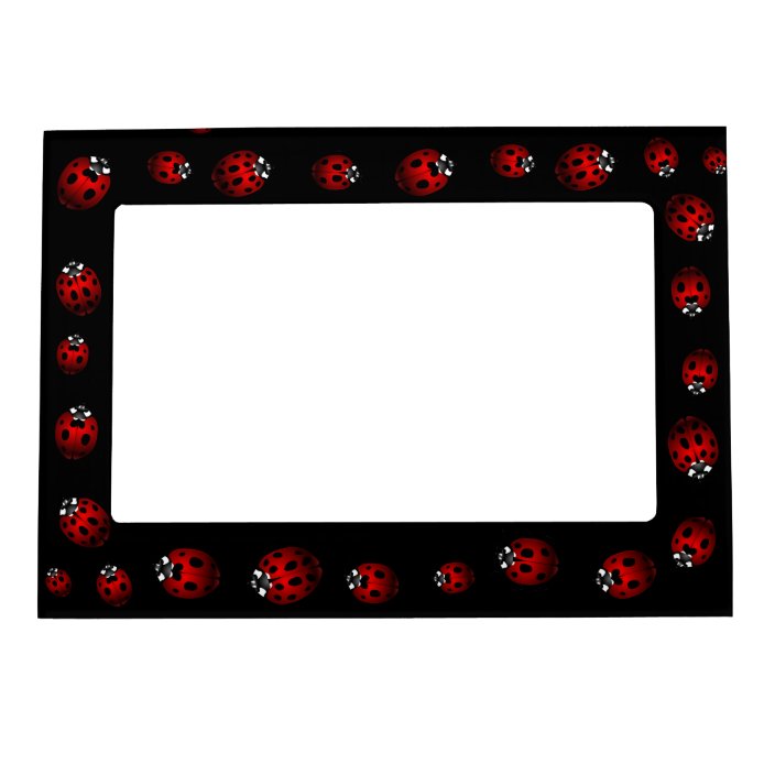 Ladybug Picture Frame Ladybird Art Frame | Zazzle.ca