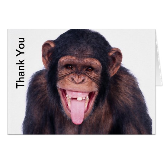 Laughing Monkey Thank You | Zazzle.ca