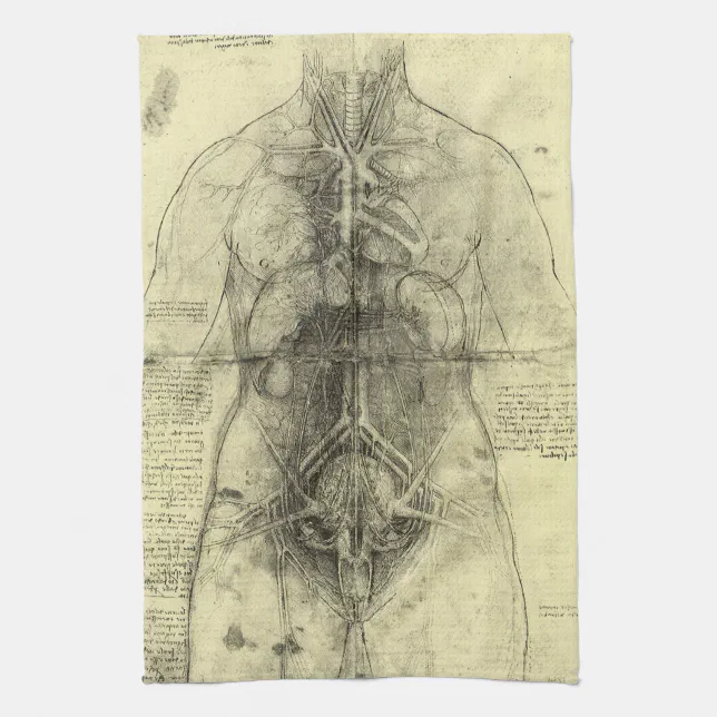 Leonardo da Vinci's Human Anatomy, Female Torso Kitchen Towel | Zazzle