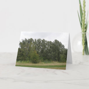 Leaning Tree Cards, Greeting Cards & More | Zazzle CA