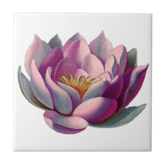 Lotus Flower Tiles, Lotus Flower Ceramic Tiles