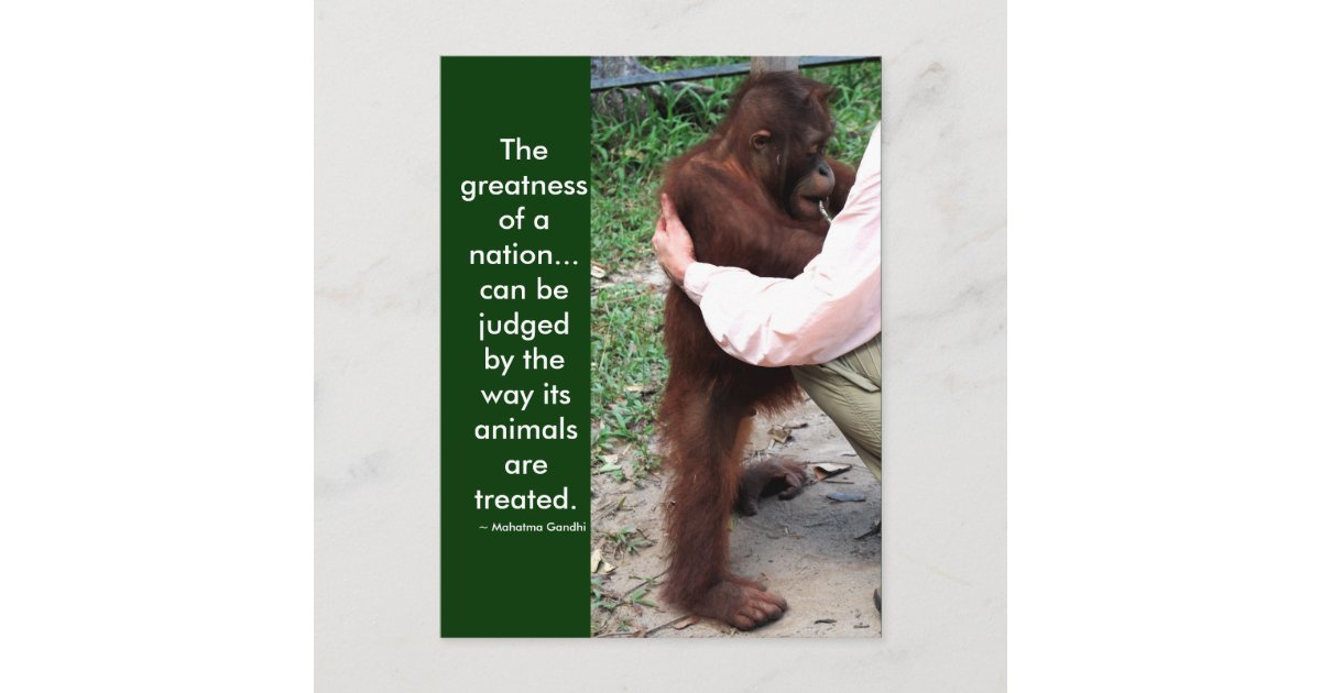 Mahatma Gandhi's animal quote Postcard | Zazzle