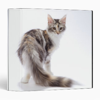 Cat Binders, Custom Cat Binder Designs, 3 Ring Binders